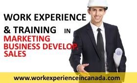 Internship Work Experience Training in Marketing Business